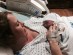 ‘My Five Wives’ Stars Brady & Nonnie Williams Welcome Baby Girl – The ...